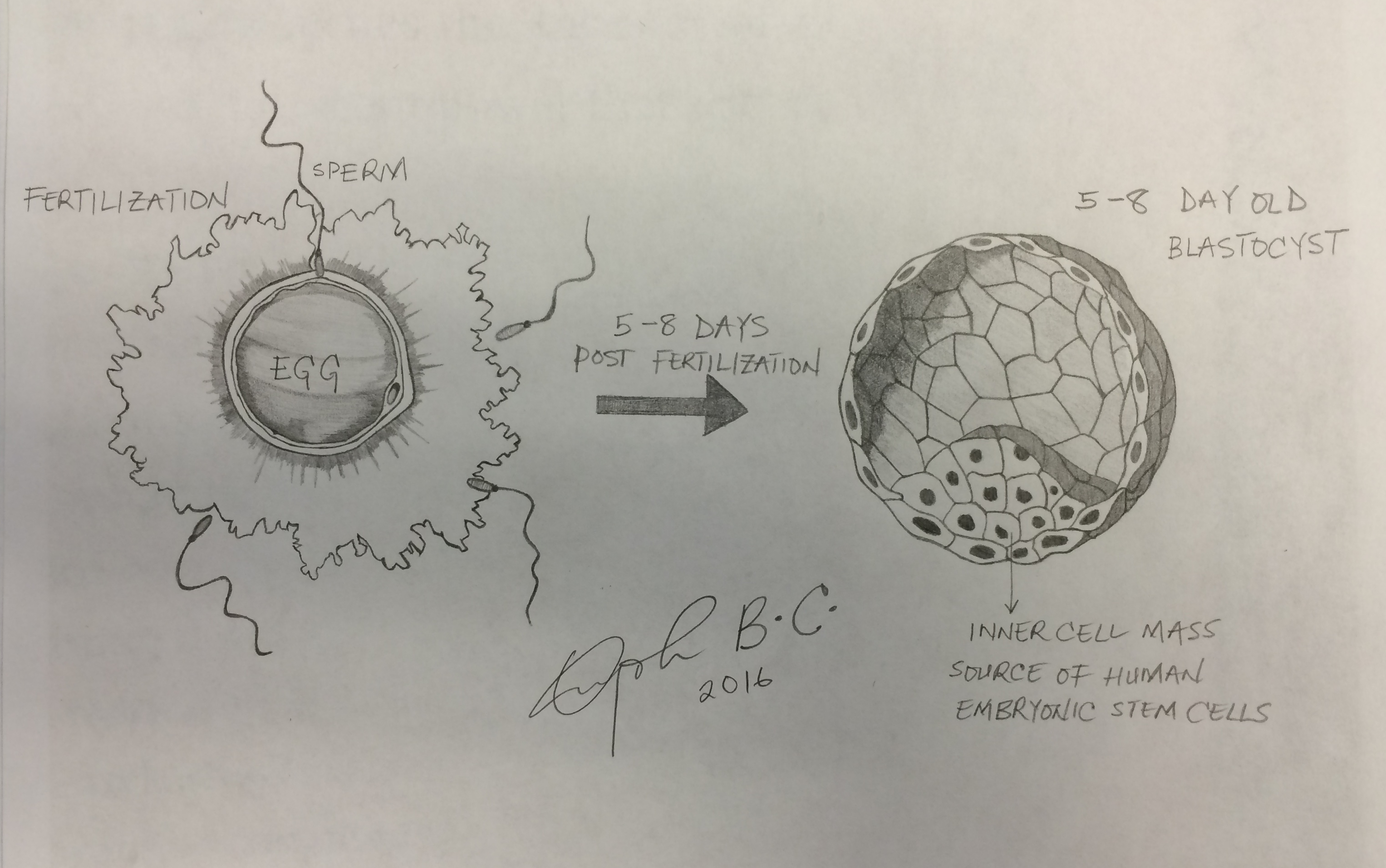 Chuba Oyolu's Portfolio