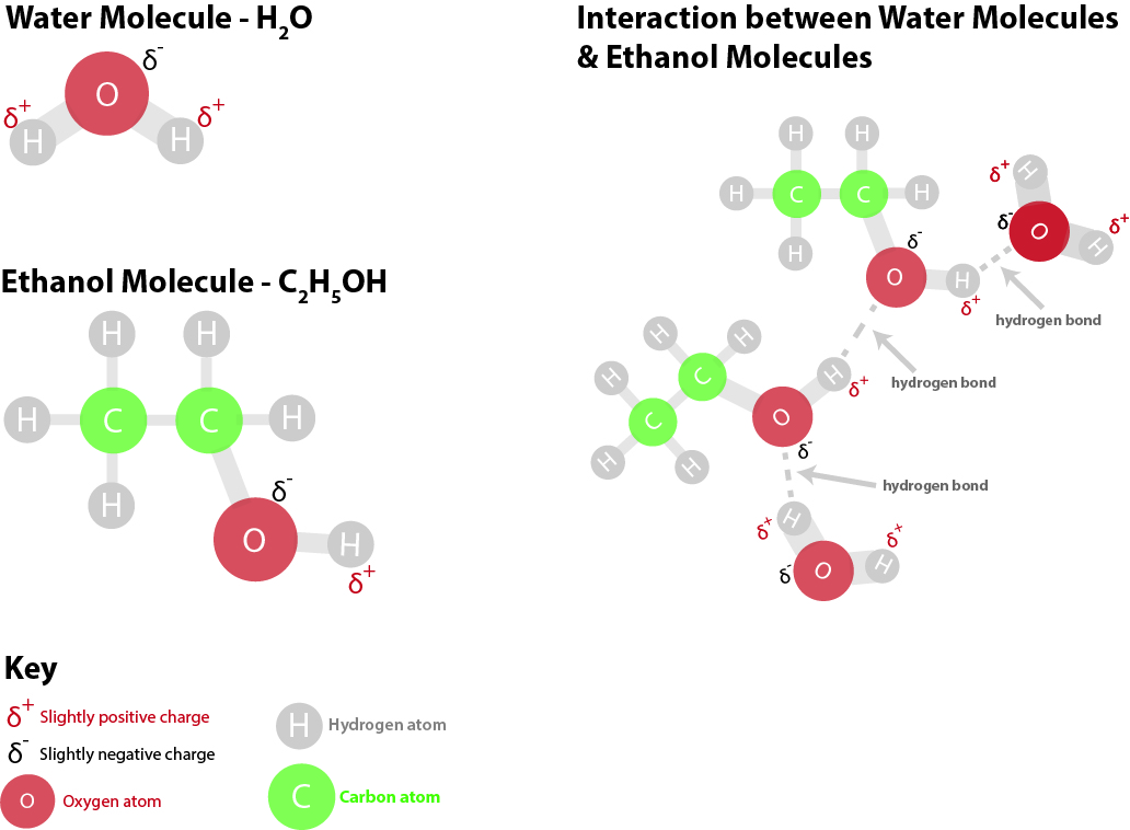 How alcohol affects the human body – Chuba Oyolu's Portfolio
